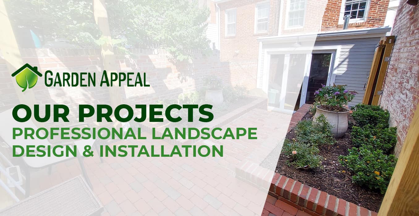 Projects - Professional Landscape Design & Installation